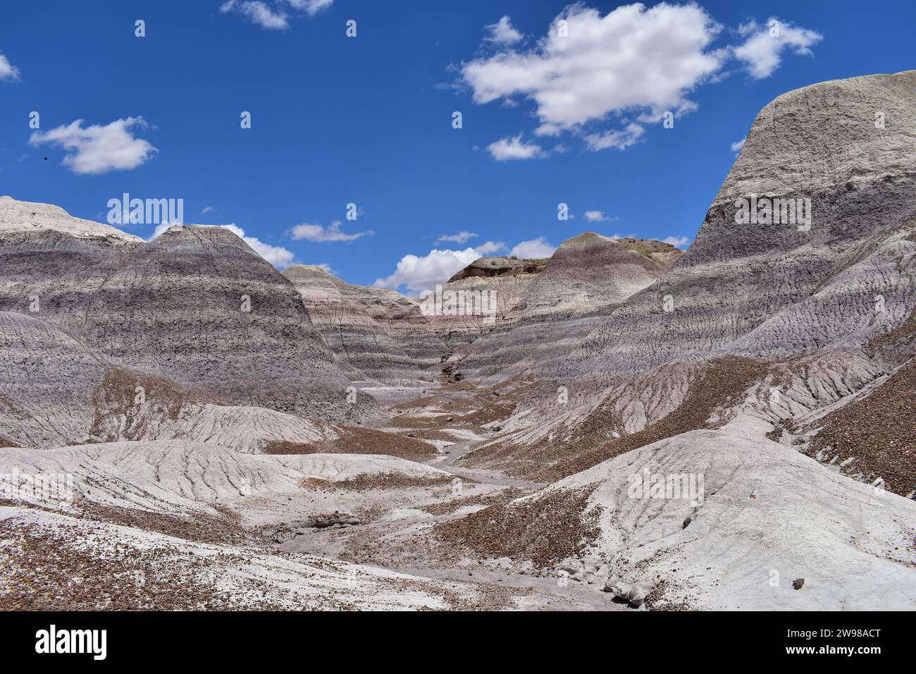 View of the colorful blue and purple mesa landscape in Petrified Forest ...