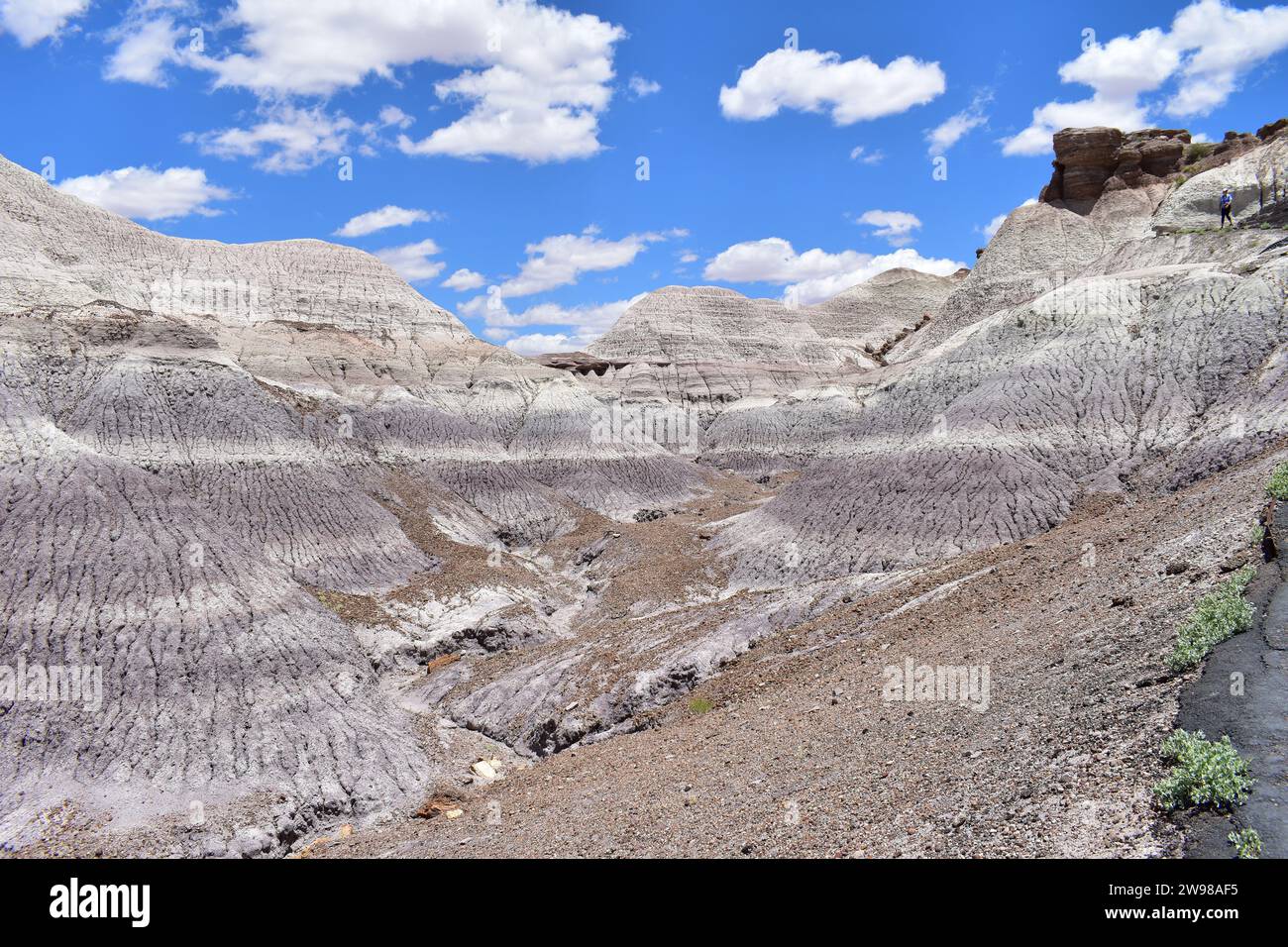 View of the colorful blue and purple mesa landscape in Petrified Forest ...