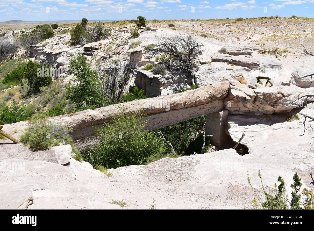 The Agate Bridge, a 110 foot long petrified wooden log laying across a ...