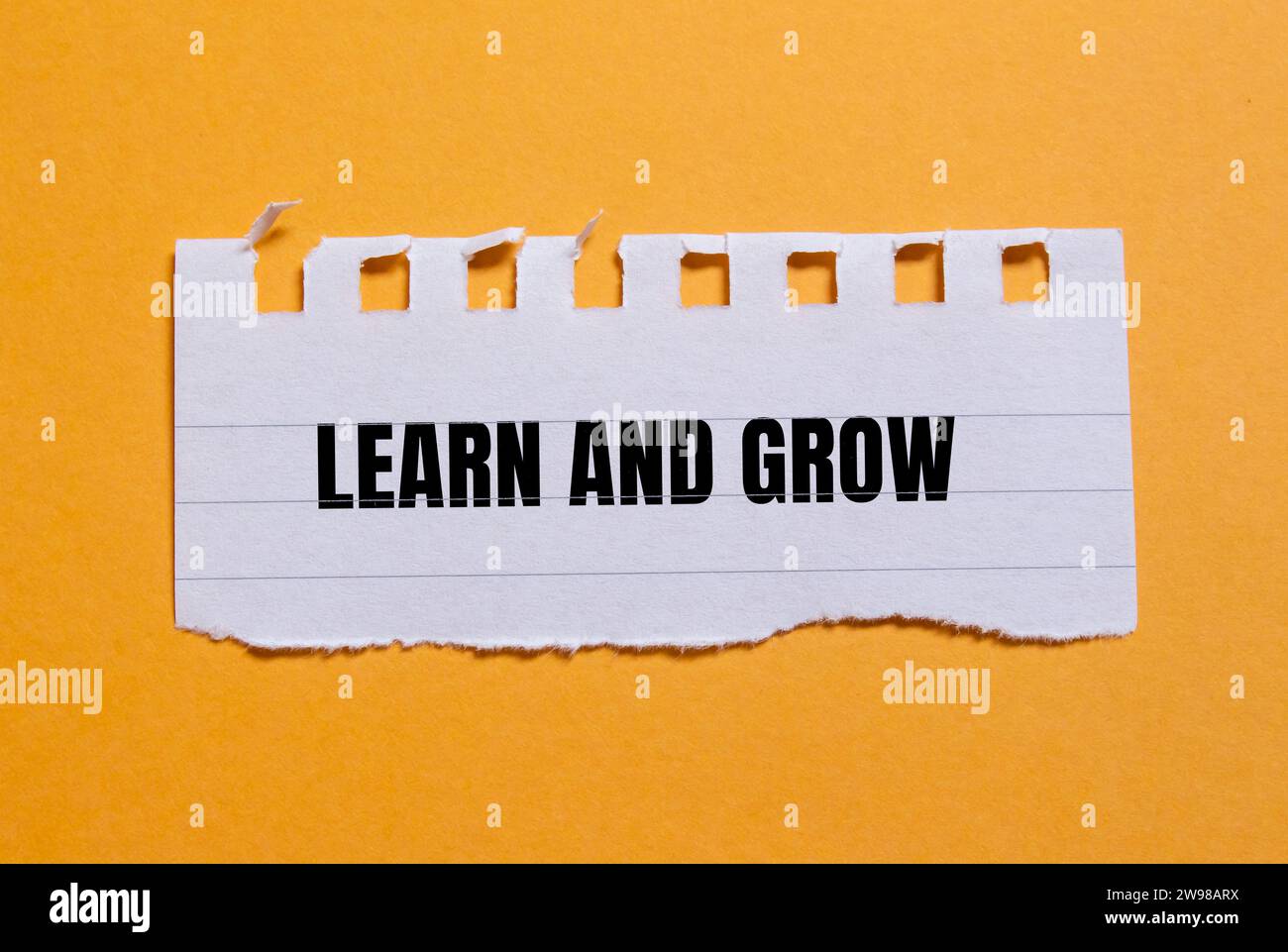 Learn and grow lettering on ripped paper. Conceptual photo Stock Photo ...