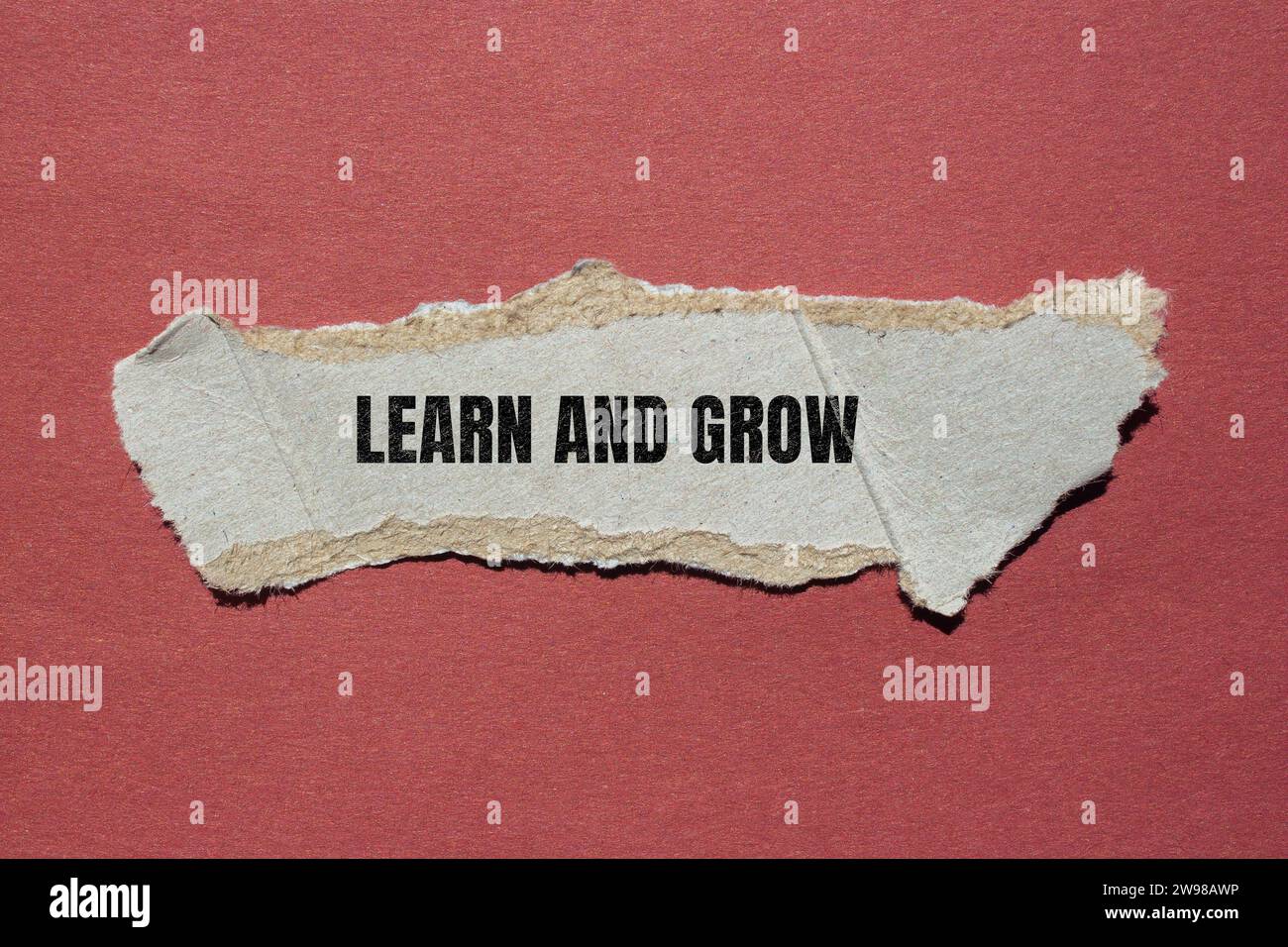 Learn and grow lettering on ripped paper. Conceptual photo Stock Photo ...