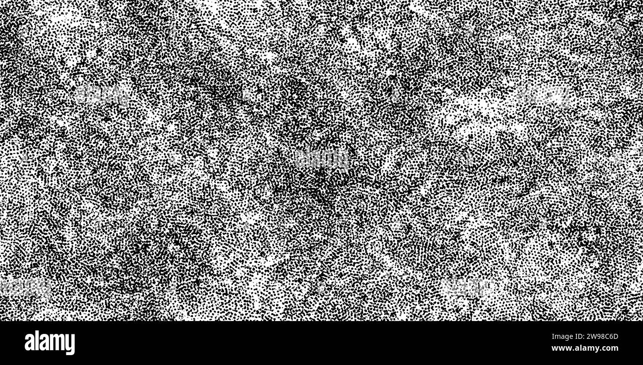 Black and white stingray skin seamless pattern. Wallpaper with organic ...