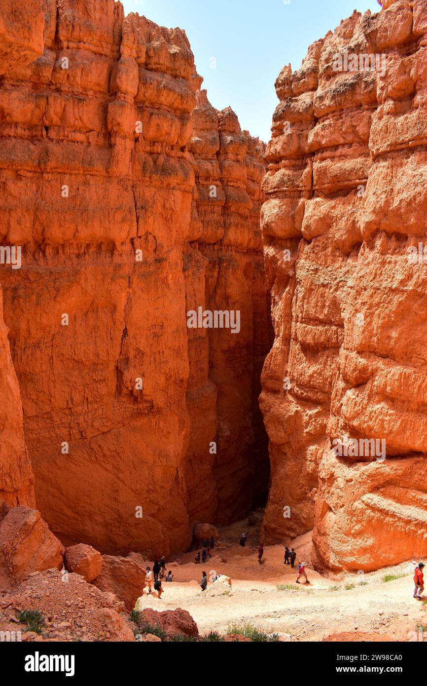 People hiking downhill on the Navajo Loop Trail into Wall Street in ...