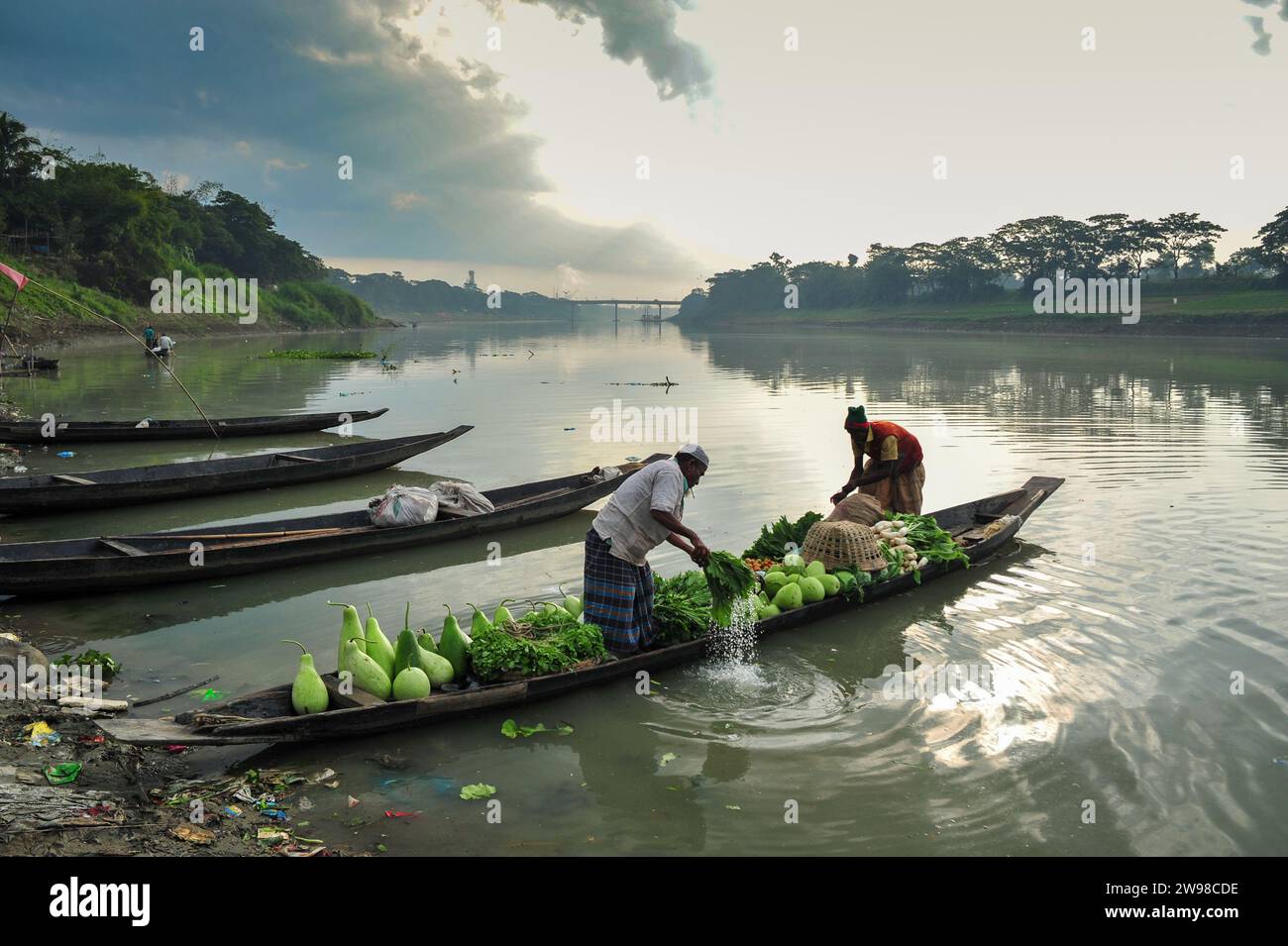 Non Exclusive: 24 December 2023 Sylhet-Bangladesh: Farmers are bringing ...