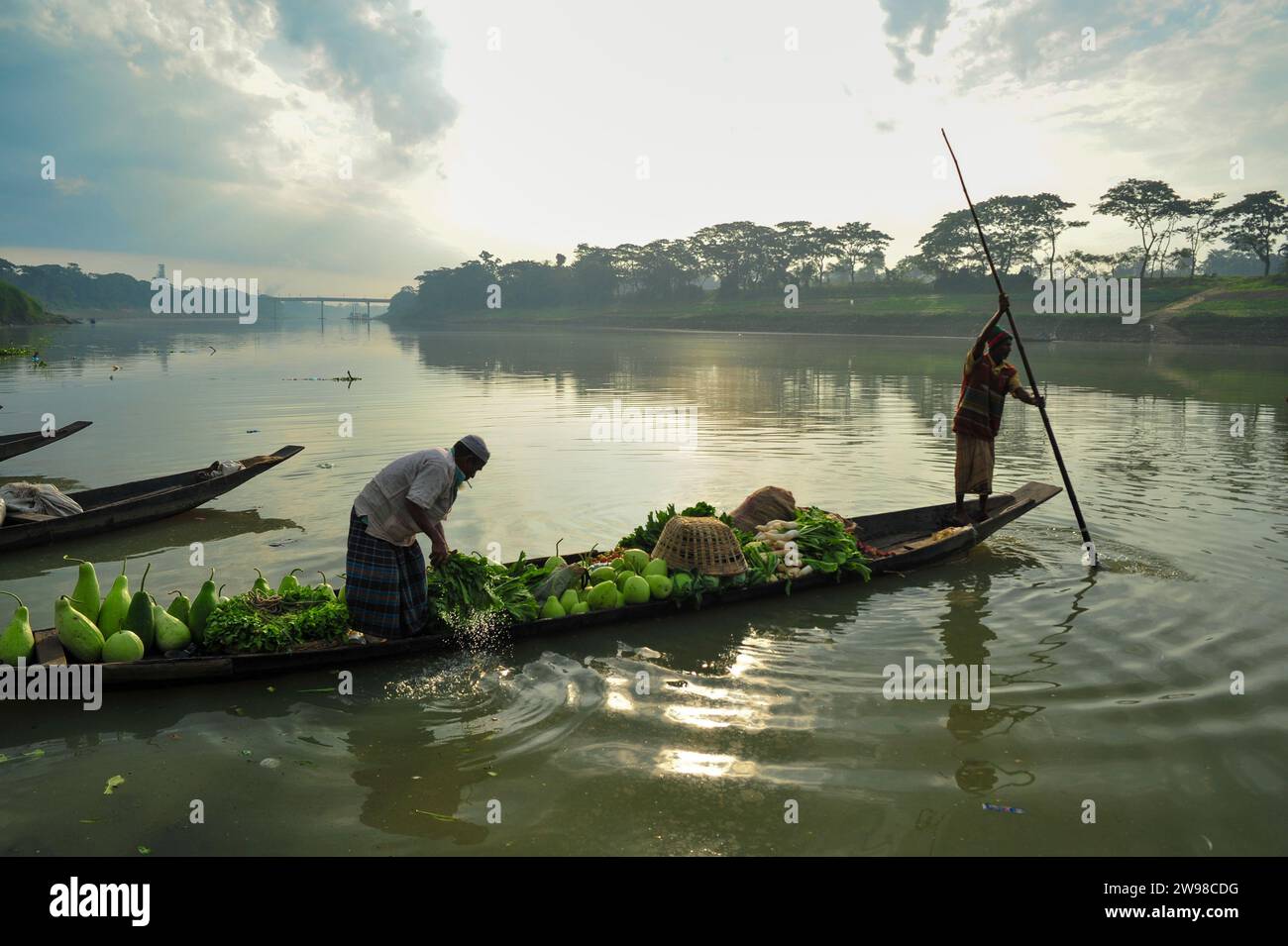 Non Exclusive: 24 December 2023 Sylhet-Bangladesh: Farmers are bringing ...