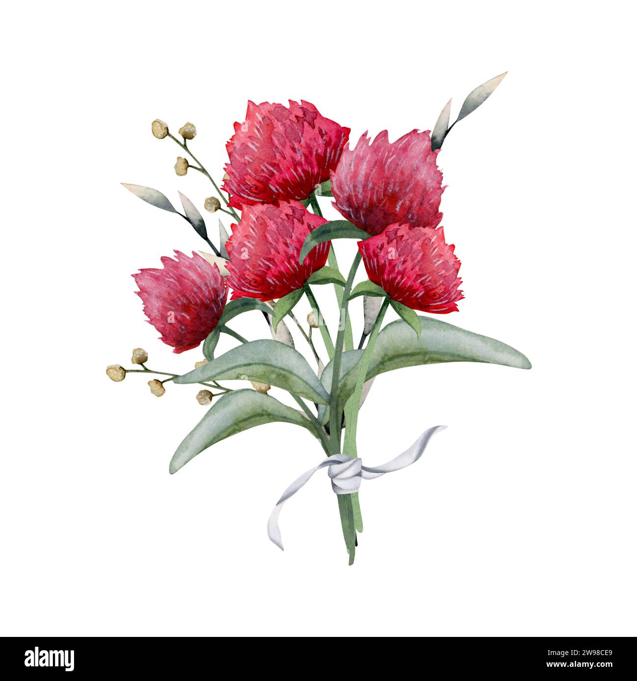 Red clover and wildflowers bouquet with grass and ribbon watercolor ...