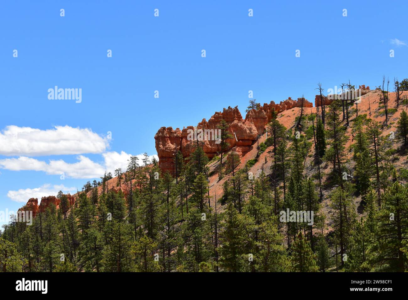 View of the beautiful red sandstone scenery and jagged peaks on the ...