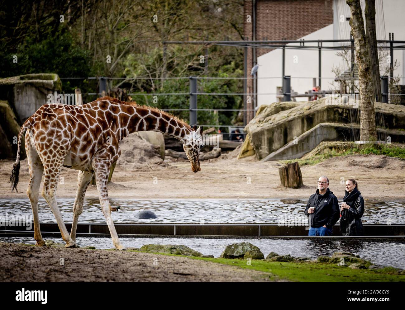 AMSTERDAM - Visitors to Artis on Christmas Day. The oldest zoo in the ...