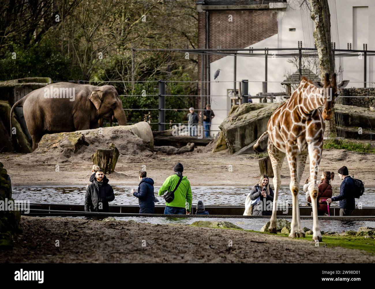 AMSTERDAM - Visitors to Artis on Christmas Day. The oldest zoo in the ...