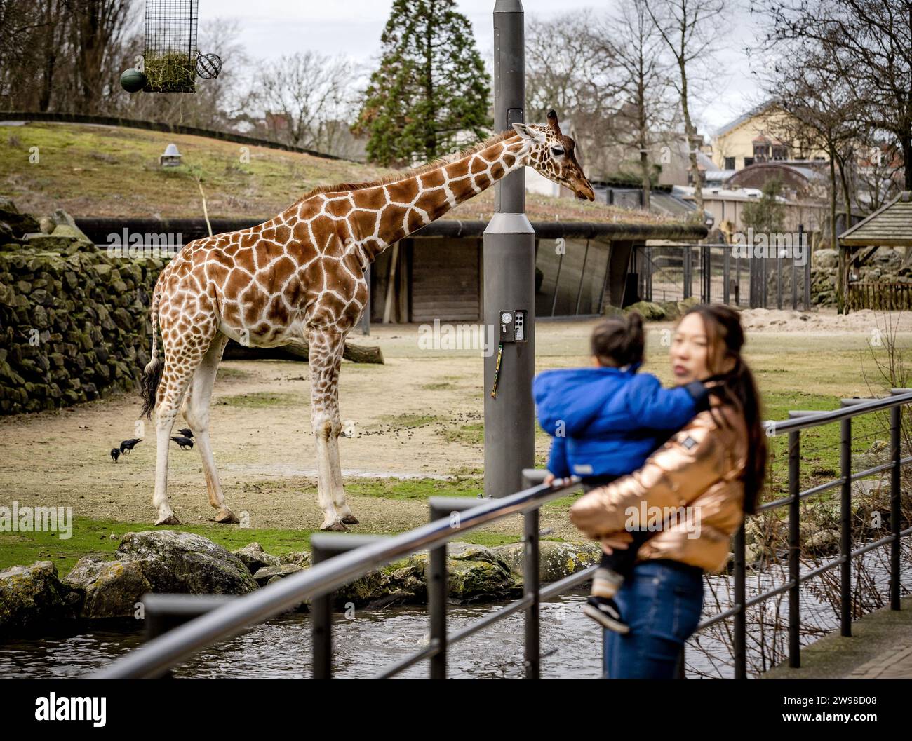 AMSTERDAM - Visitors to Artis on Christmas Day. The oldest zoo in the ...