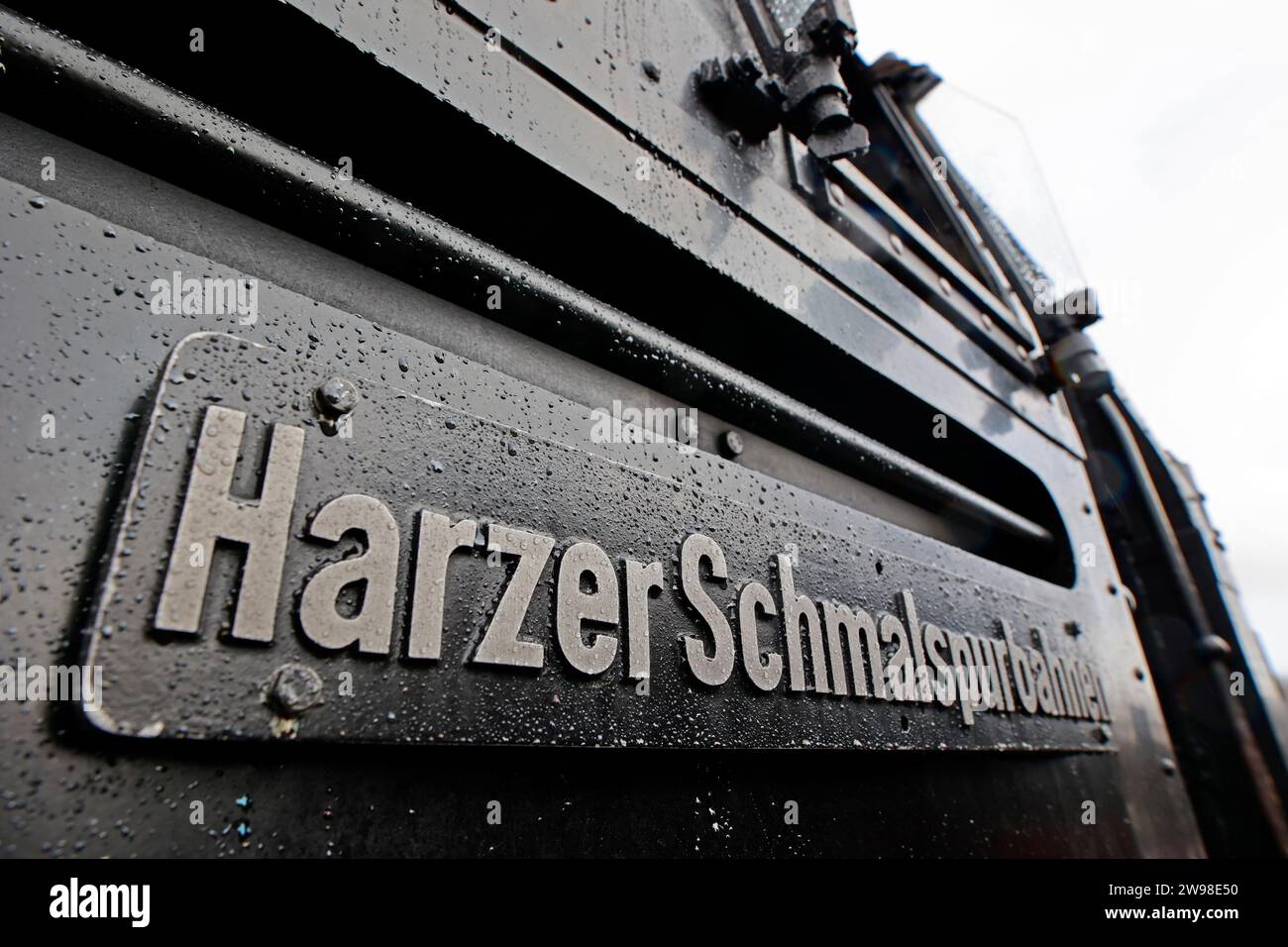 Schierke, Germany. 25th Dec, 2023. Raindrops cling to a Harzer ...