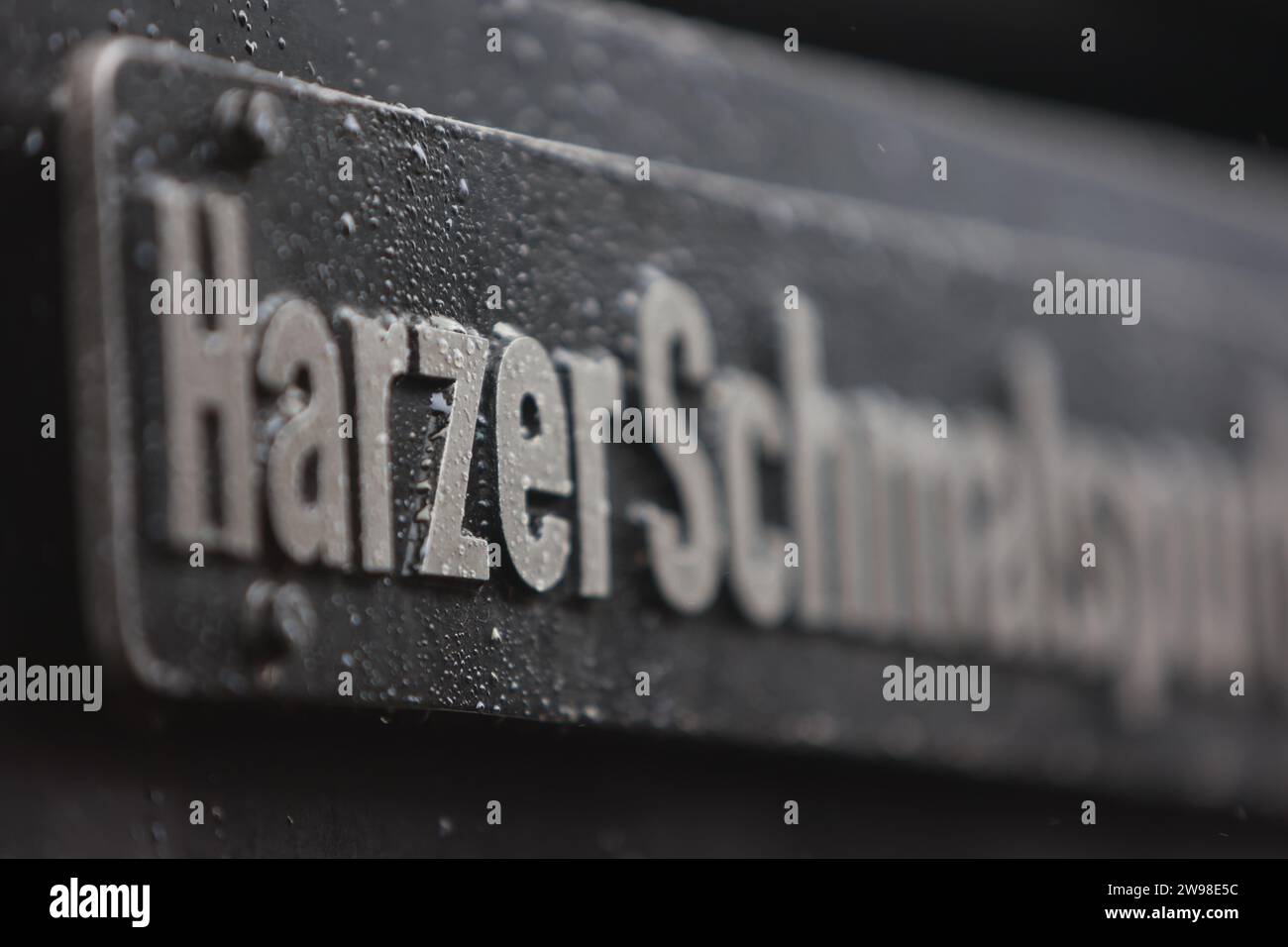Schierke, Germany. 25th Dec, 2023. Raindrops cling to a Harzer ...