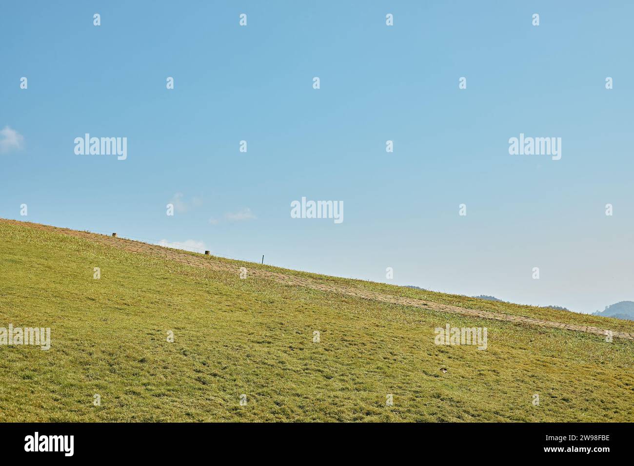 Akha Farmville, the only sheep farm of Doi Chang, Chiang Rai, is ...