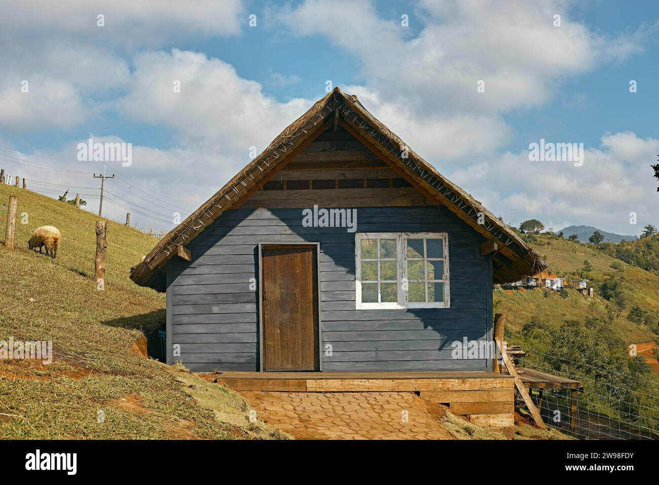 Akha Farmville, the only sheep farm of Doi Chang, Chiang Rai, is ...