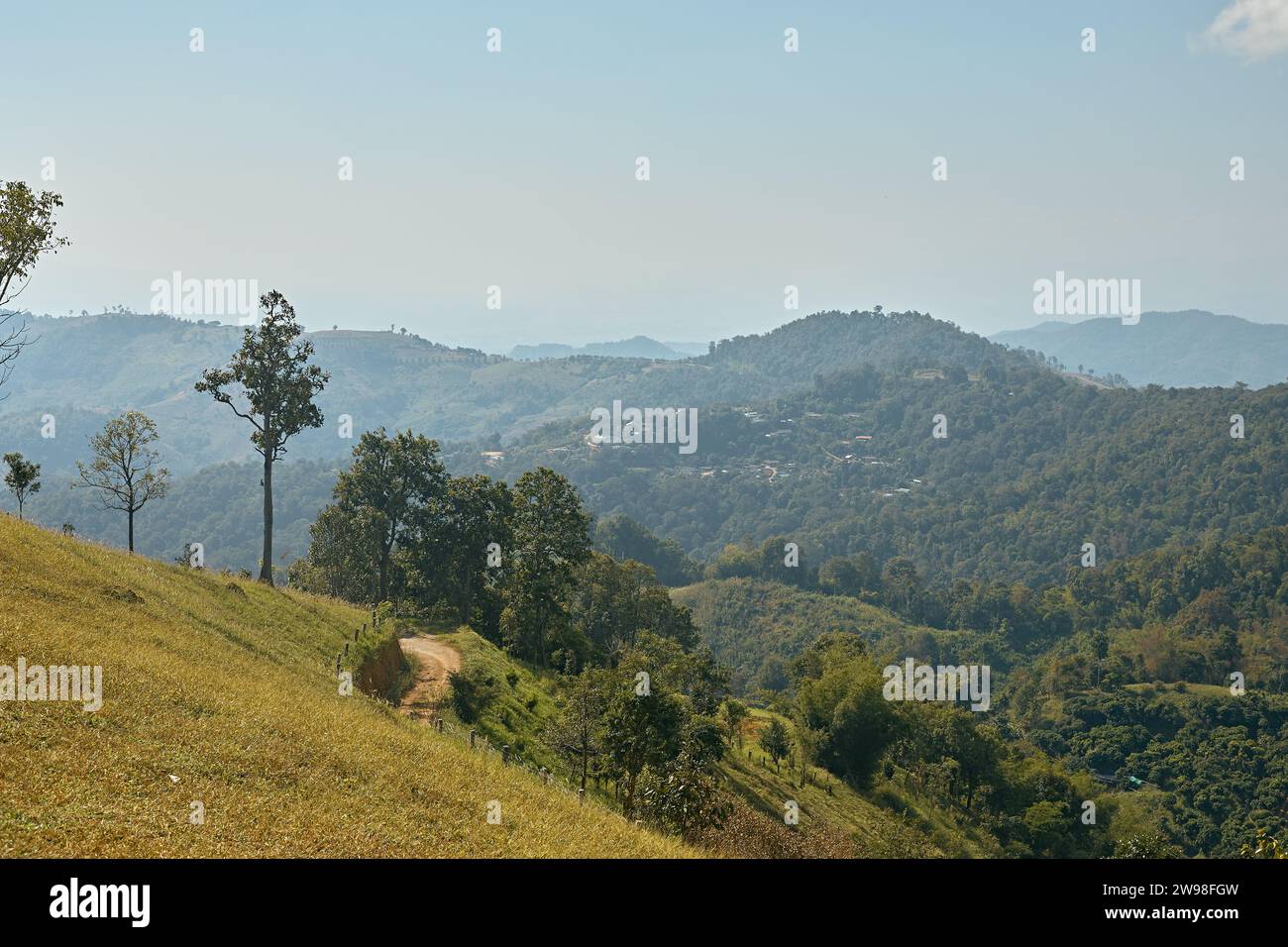 Akha Farmville, the only sheep farm of Doi Chang, Chiang Rai, is ...