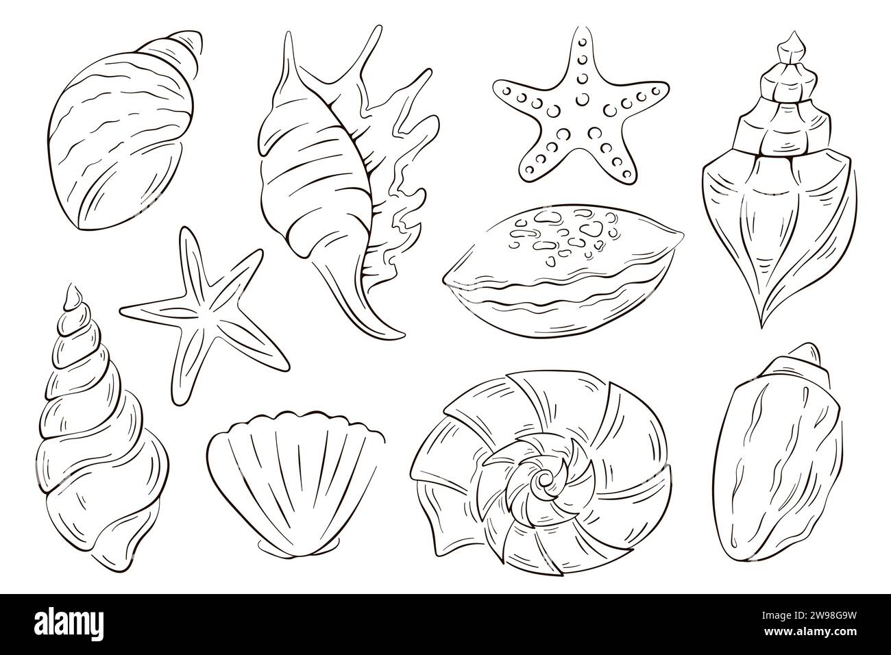 Sea shell craft Stock Vector Images - Alamy