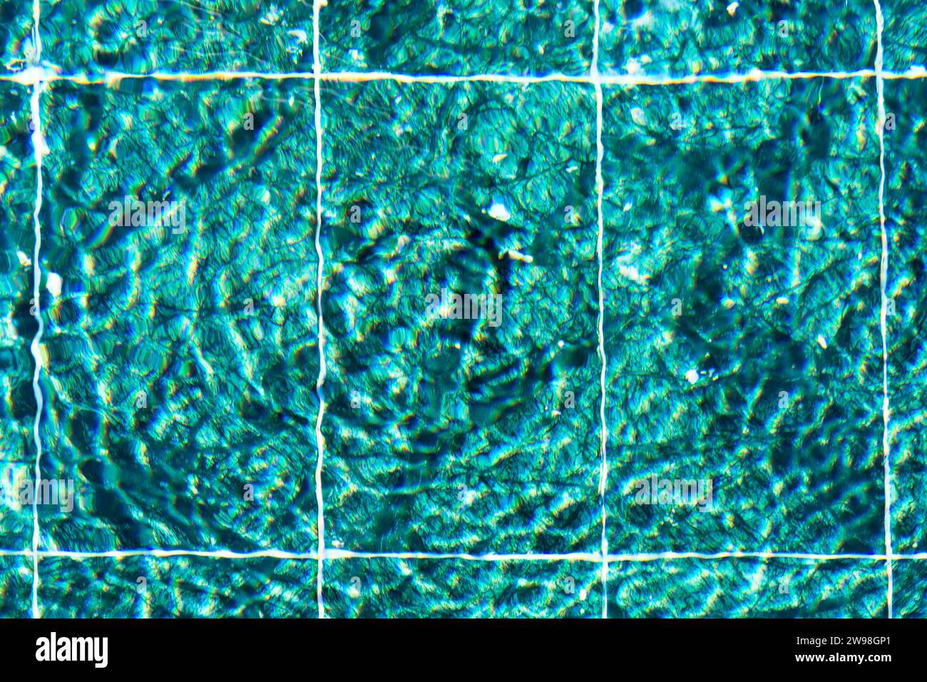 Emerald tiles under the water in the pool Stock Photo - Alamy