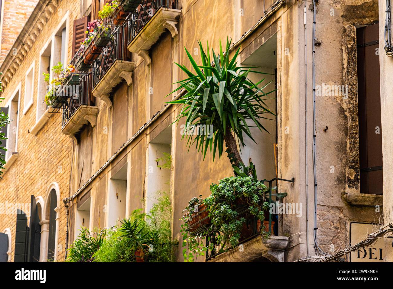 Facades of residential building with window shutters in Venice, Italy ...