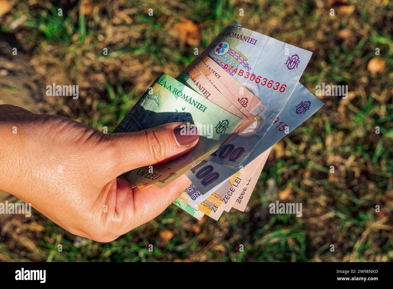 Female hand holding Romanian lei - code RON - money banknotes in ...