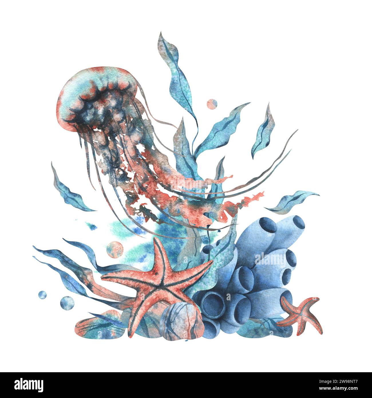 Underwater world clipart with sea animals jellyfish, starfish, pebbles ...