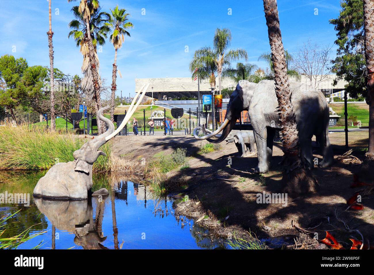 Los Angeles, California LA BREA TAR PITS and Museum, one of the world's ...