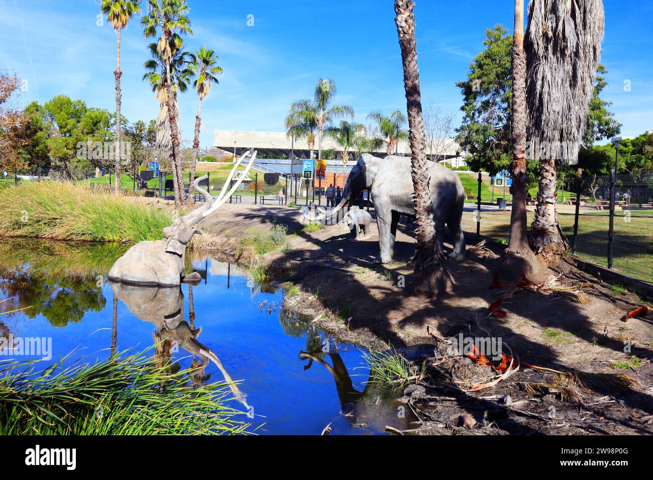Los Angeles, California LA BREA TAR PITS and Museum, one of the world's ...