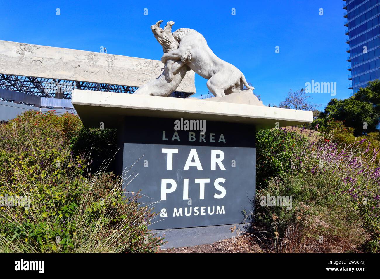 Los Angeles, California LA BREA TAR PITS and Museum, one of the world's ...