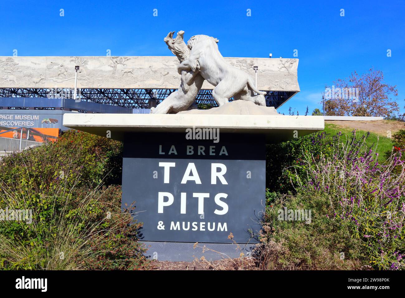 Los Angeles, California LA BREA TAR PITS and Museum, one of the world's ...