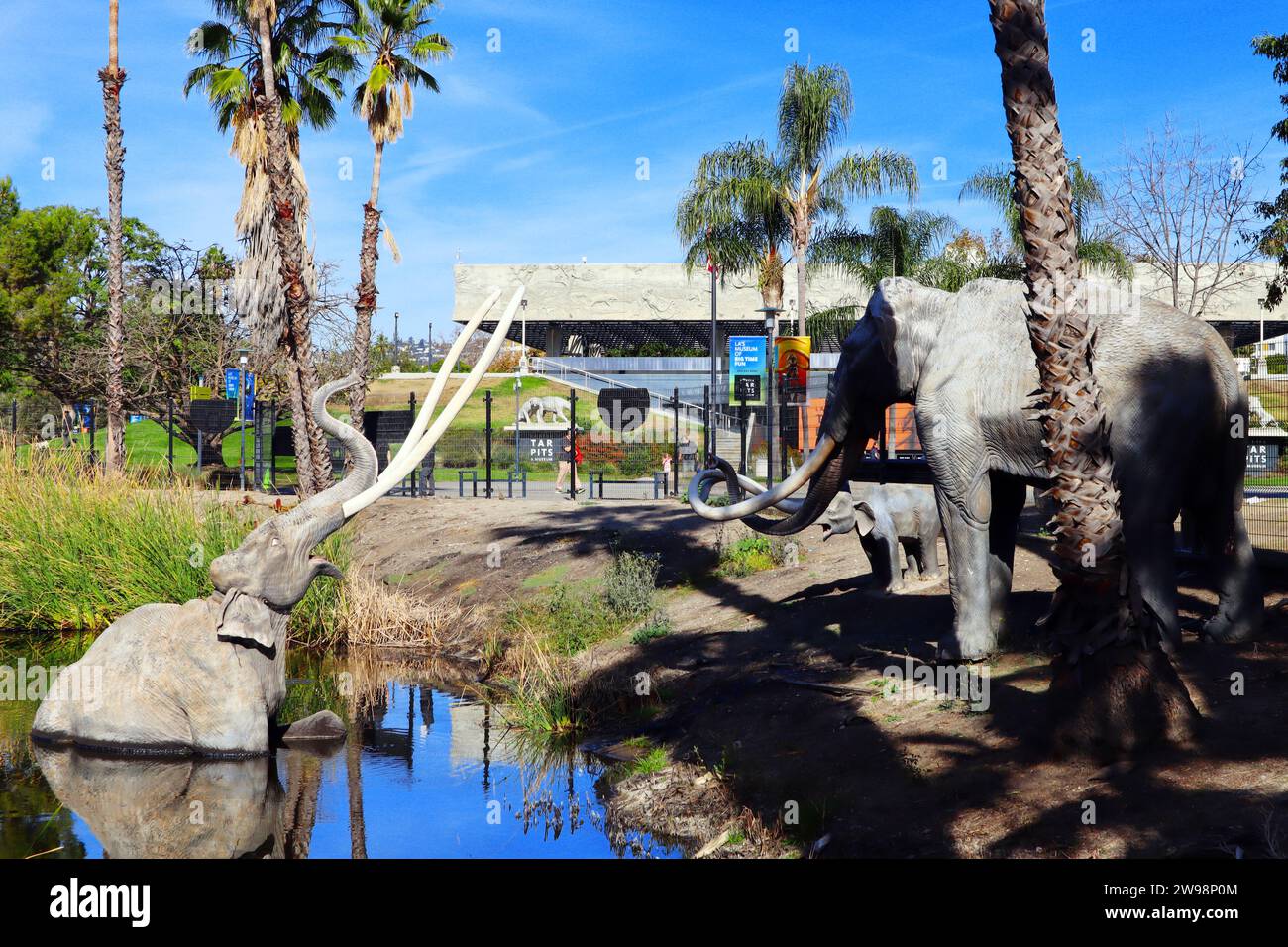 Los Angeles, California LA BREA TAR PITS and Museum, one of the world's ...