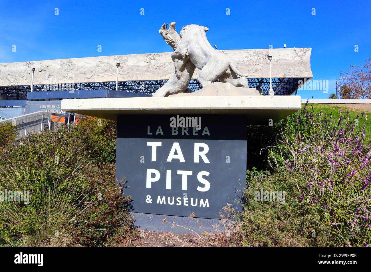 Los Angeles, California LA BREA TAR PITS and Museum, one of the world's ...