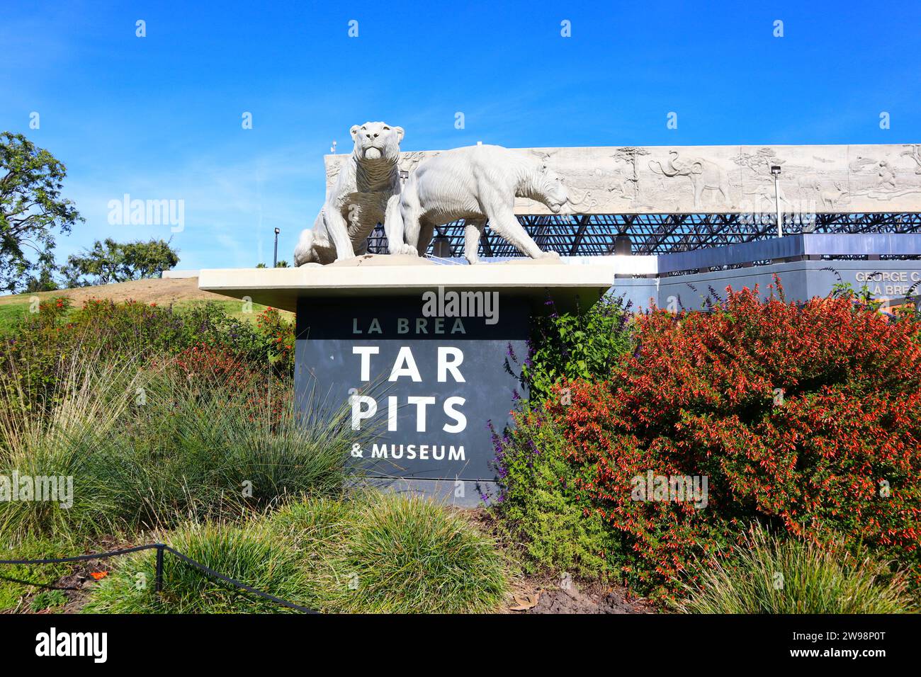 Los Angeles, California LA BREA TAR PITS and Museum, one of the world's ...