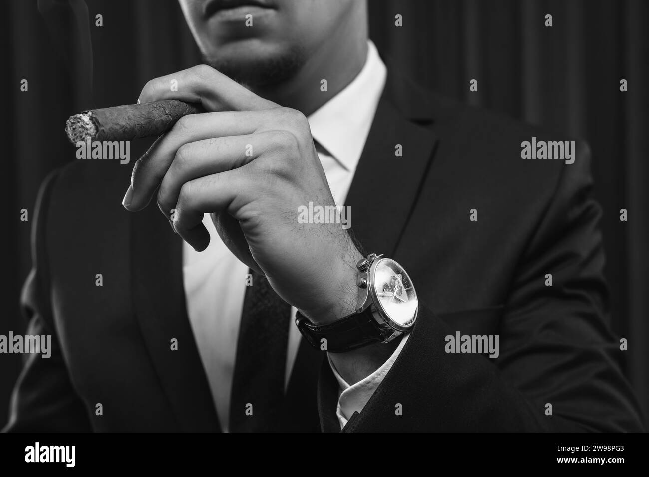 Portrait of a stylish man in a suit with a cigar. Business concept ...
