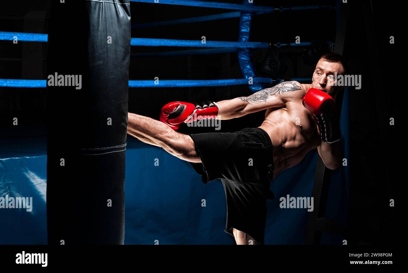 Kickboxer kicks the bag. Training a professional athlete. The concept ...