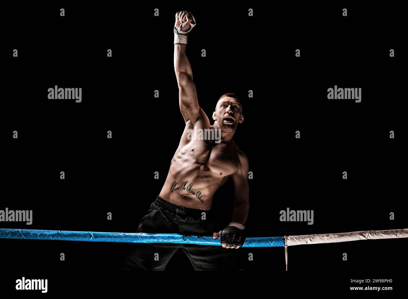 Kickboxer posing in the ring. The athlete climbed the ropes and took a ...