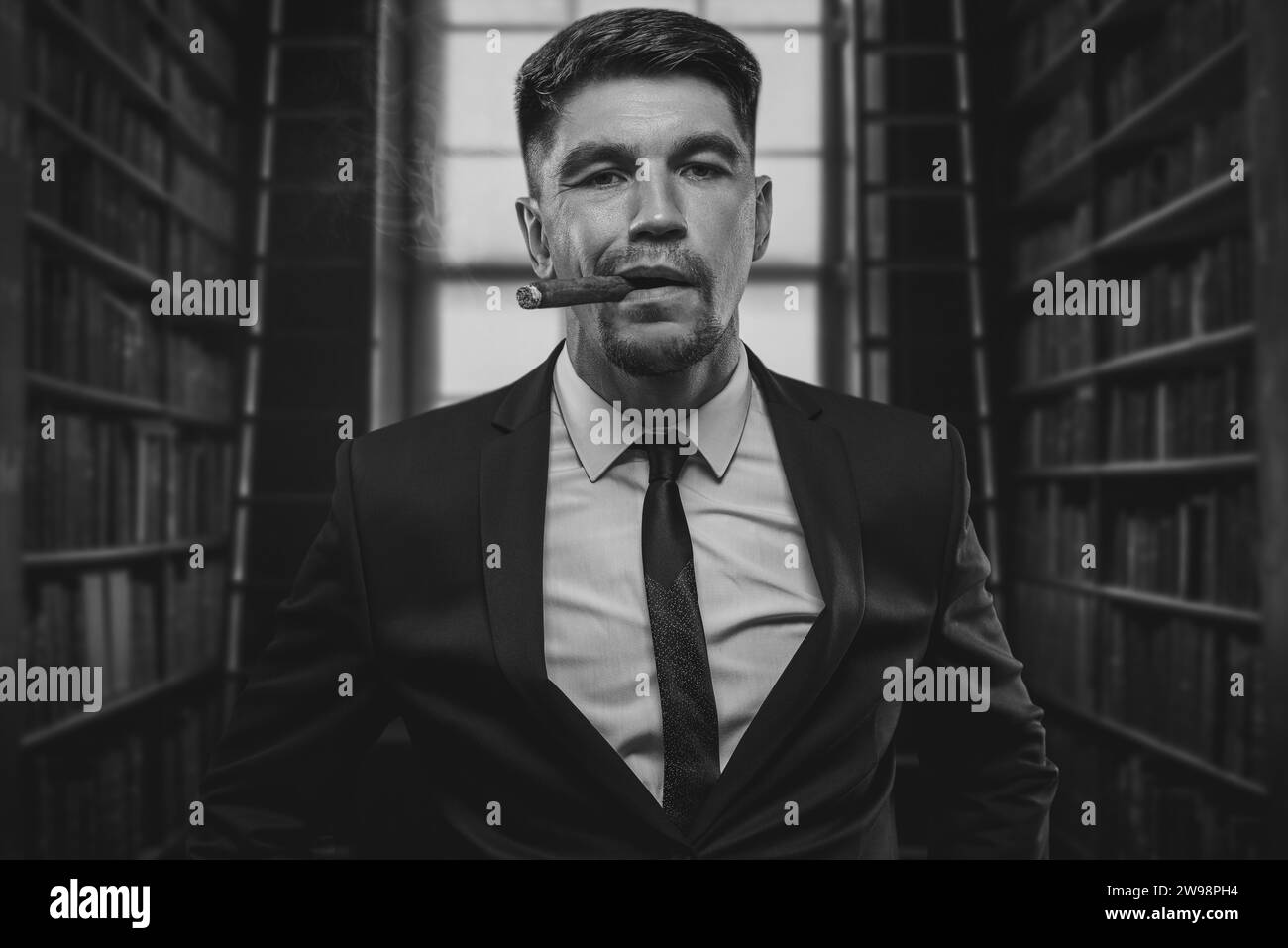 Portrait of a stylish man in a suit with a cigar. Business concept ...