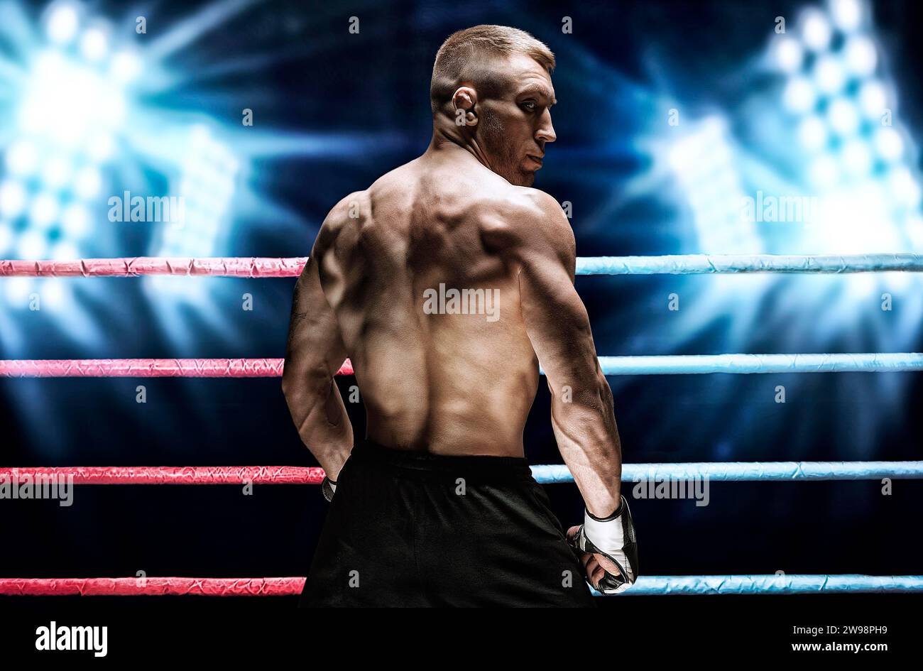 Portrait of a kickboxer on the background of bright spotlights. Back ...