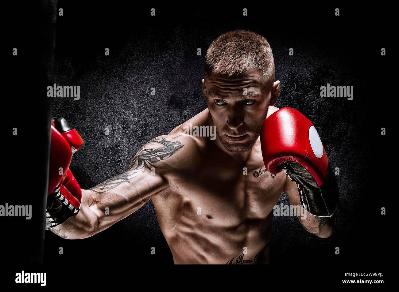 Boxer punches the bag. Training a professional athlete. The concept of ...