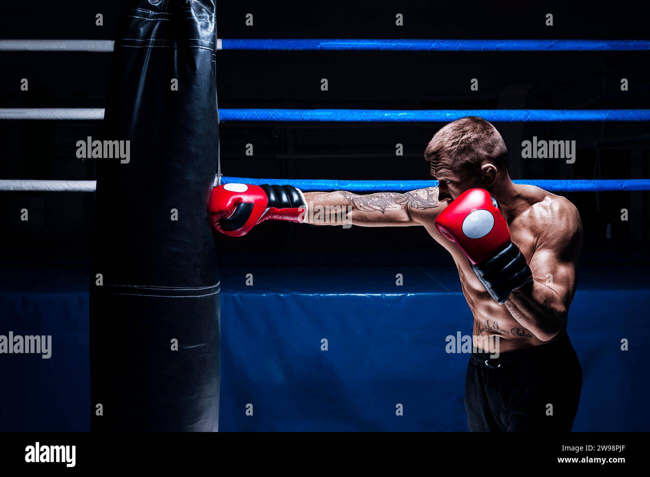 Kickboxer punches the bag. Training a professional athlete. The concept ...