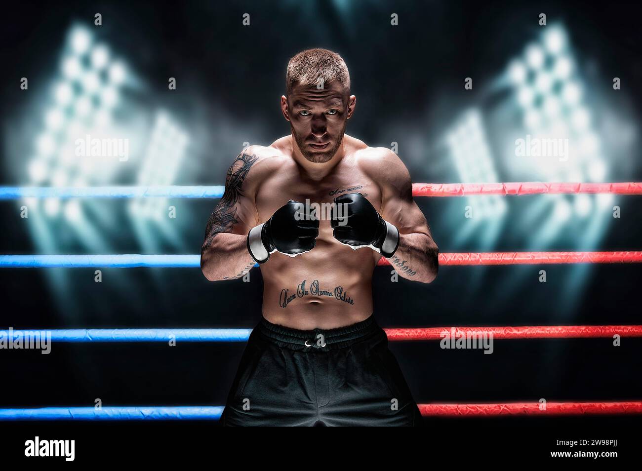 Mixed martial artist posing in the ring against spotlights. Concept of ...