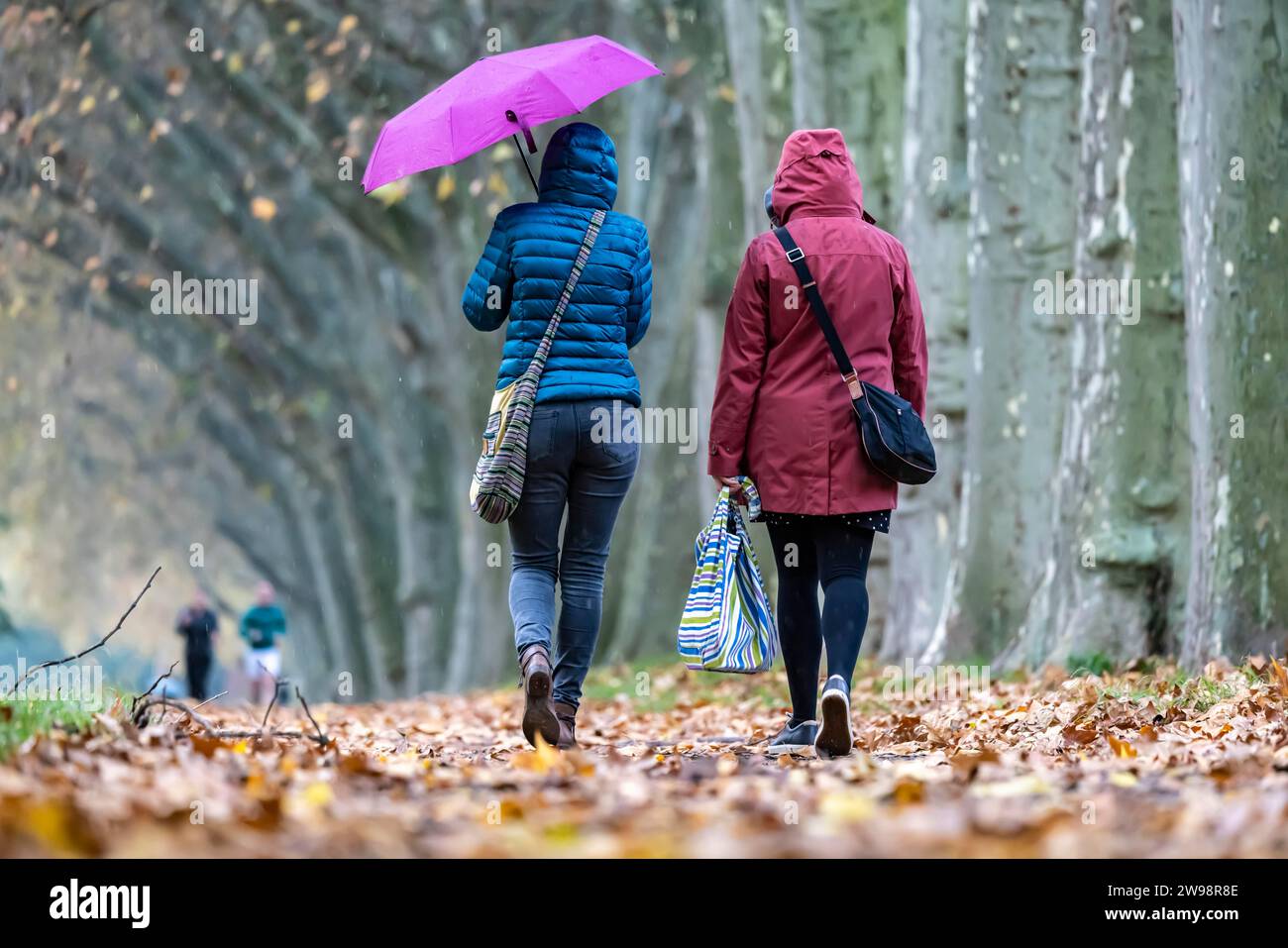 Autumn walk with umbrella in rainy weather, two woman walk through the ...