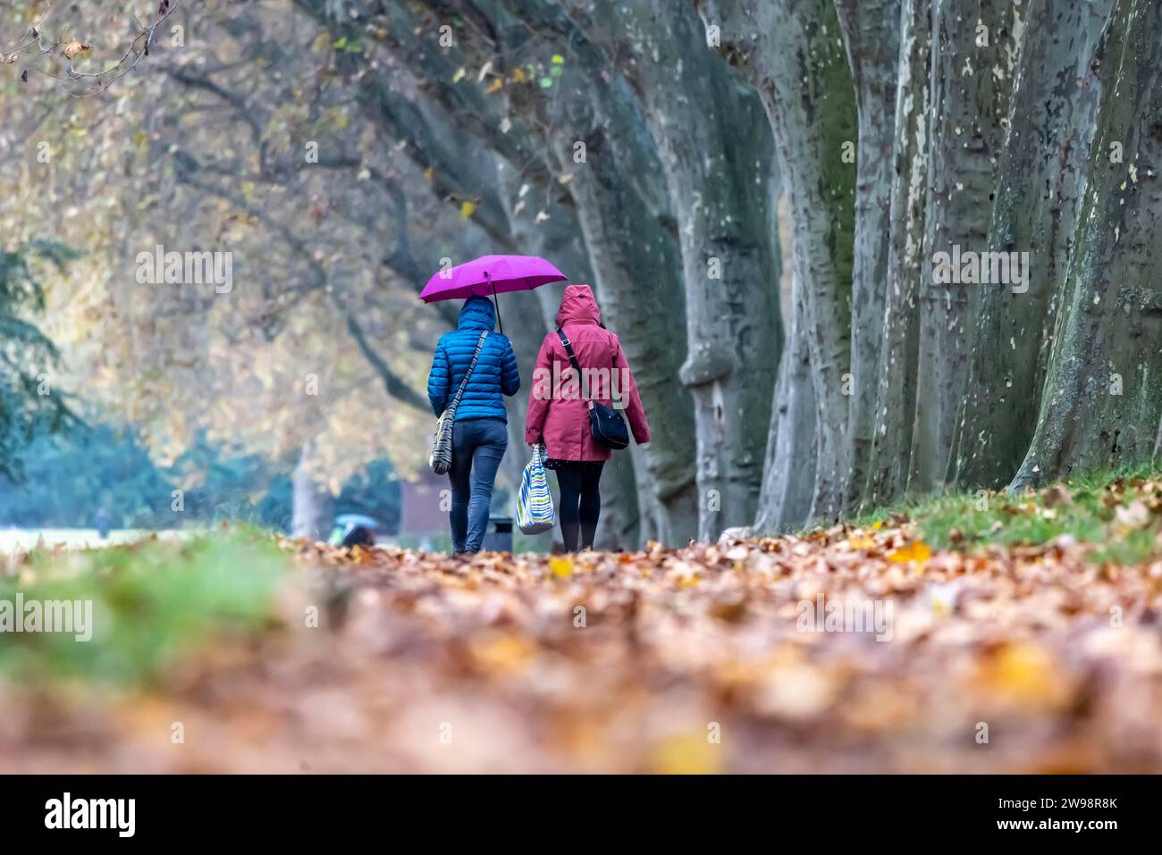 Autumn walk with umbrella in rainy weather, two woman walk through the ...
