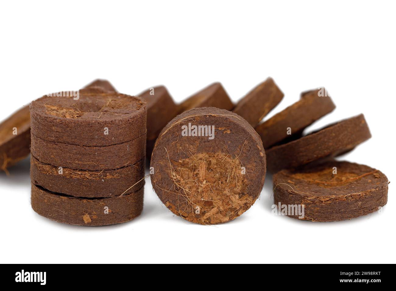 coconut source tablets for easy cultivation from seeds, pressed cocos ...