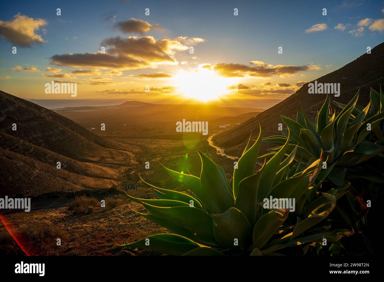 Summer landscape on a mountain slope. The surise and the ocean in the ...