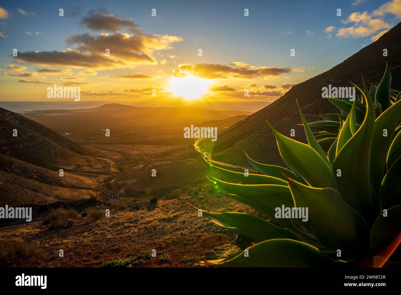 Summer landscape on a mountain slope. The surise and the ocean in the ...