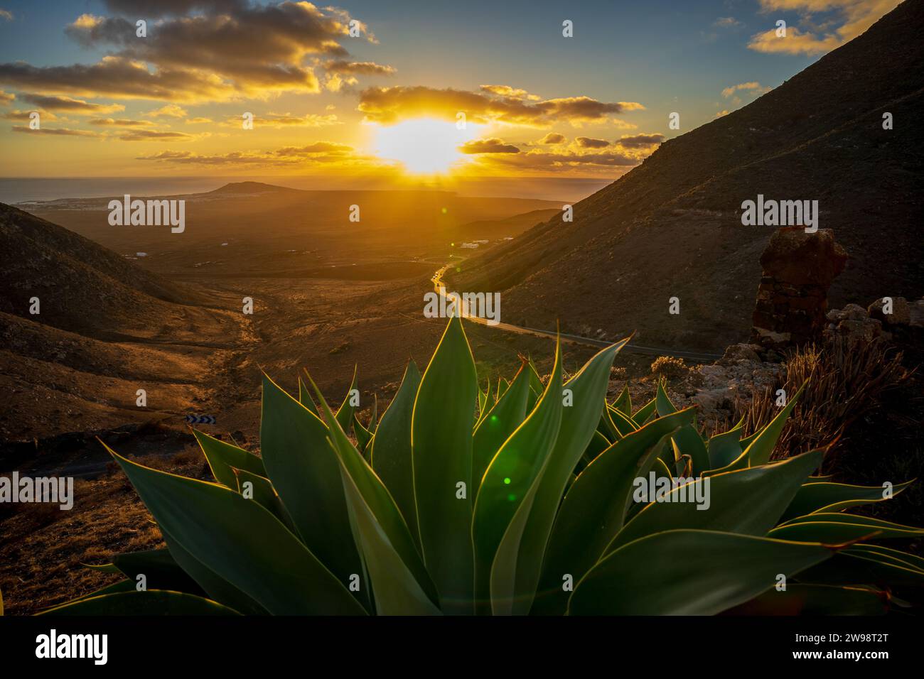Summer landscape on a mountain slope. The surise and the ocean in the ...