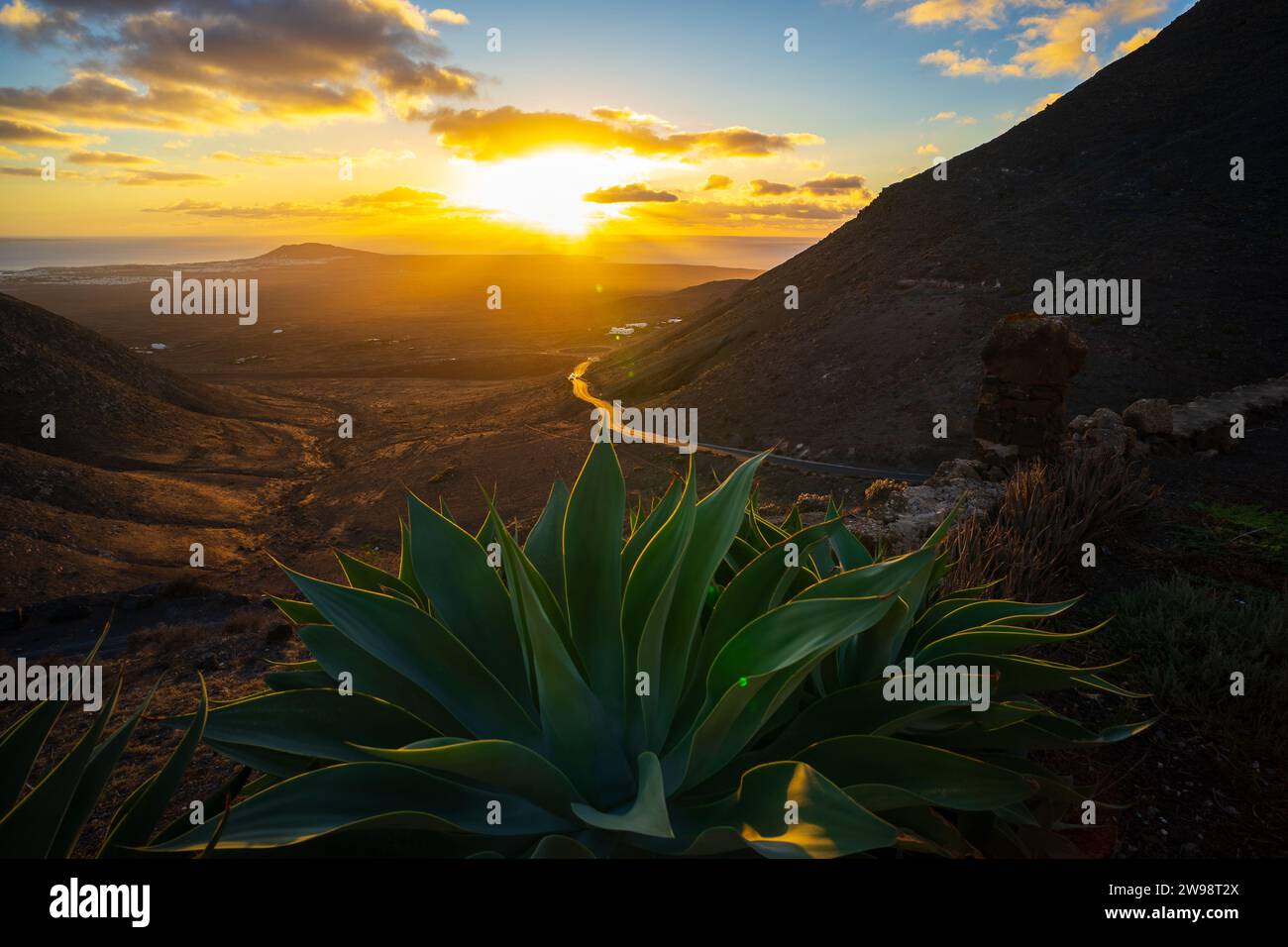 Summer landscape on a mountain slope. The surise and the ocean in the ...