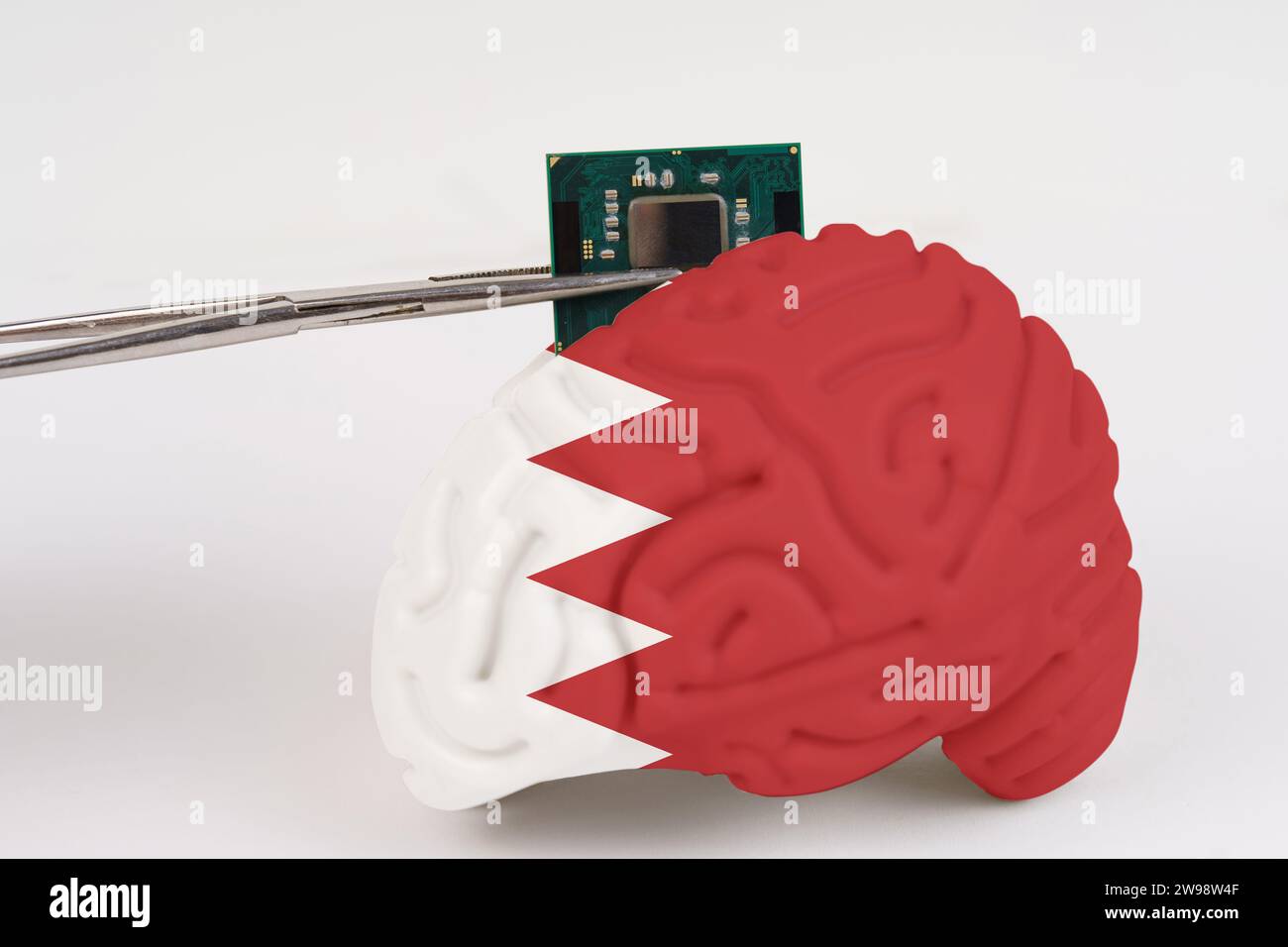 On a white background, a model of the brain with a picture of a flag ...