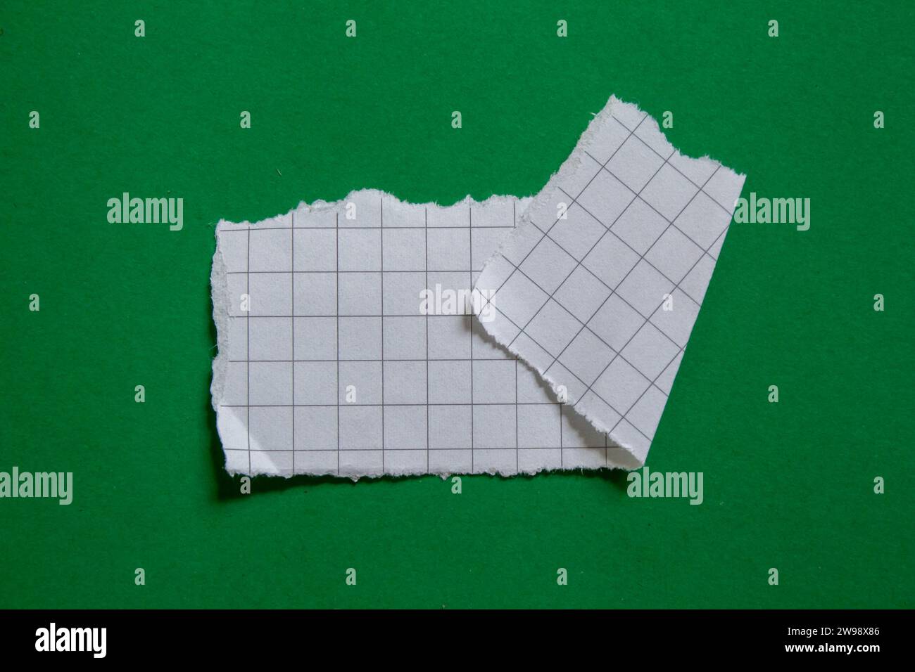 Ripped paper piece on green background. Torn paper with copy space ...