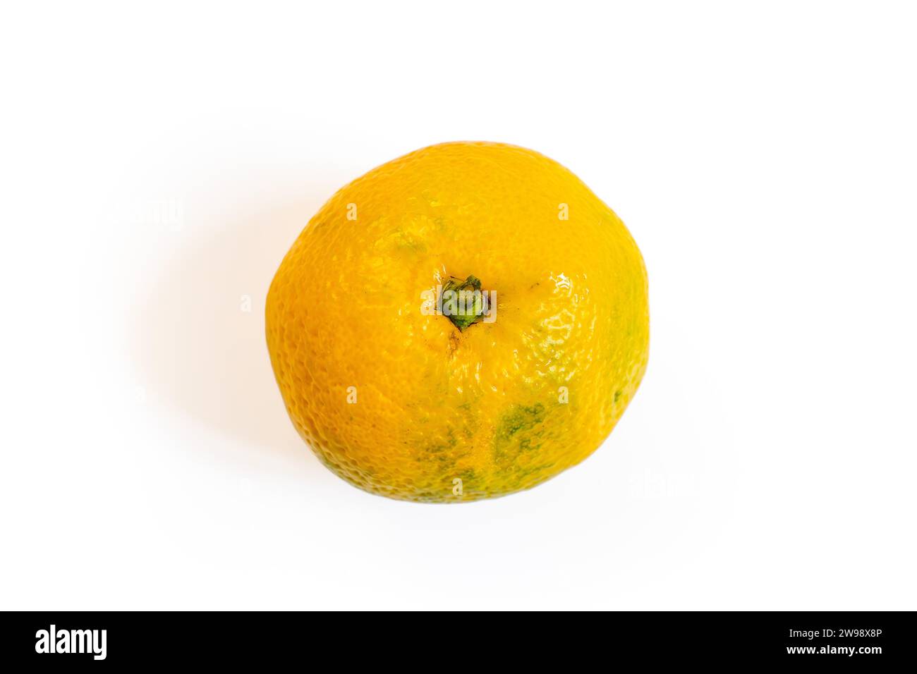 Single tangerine isolated on a white background Stock Photo - Alamy