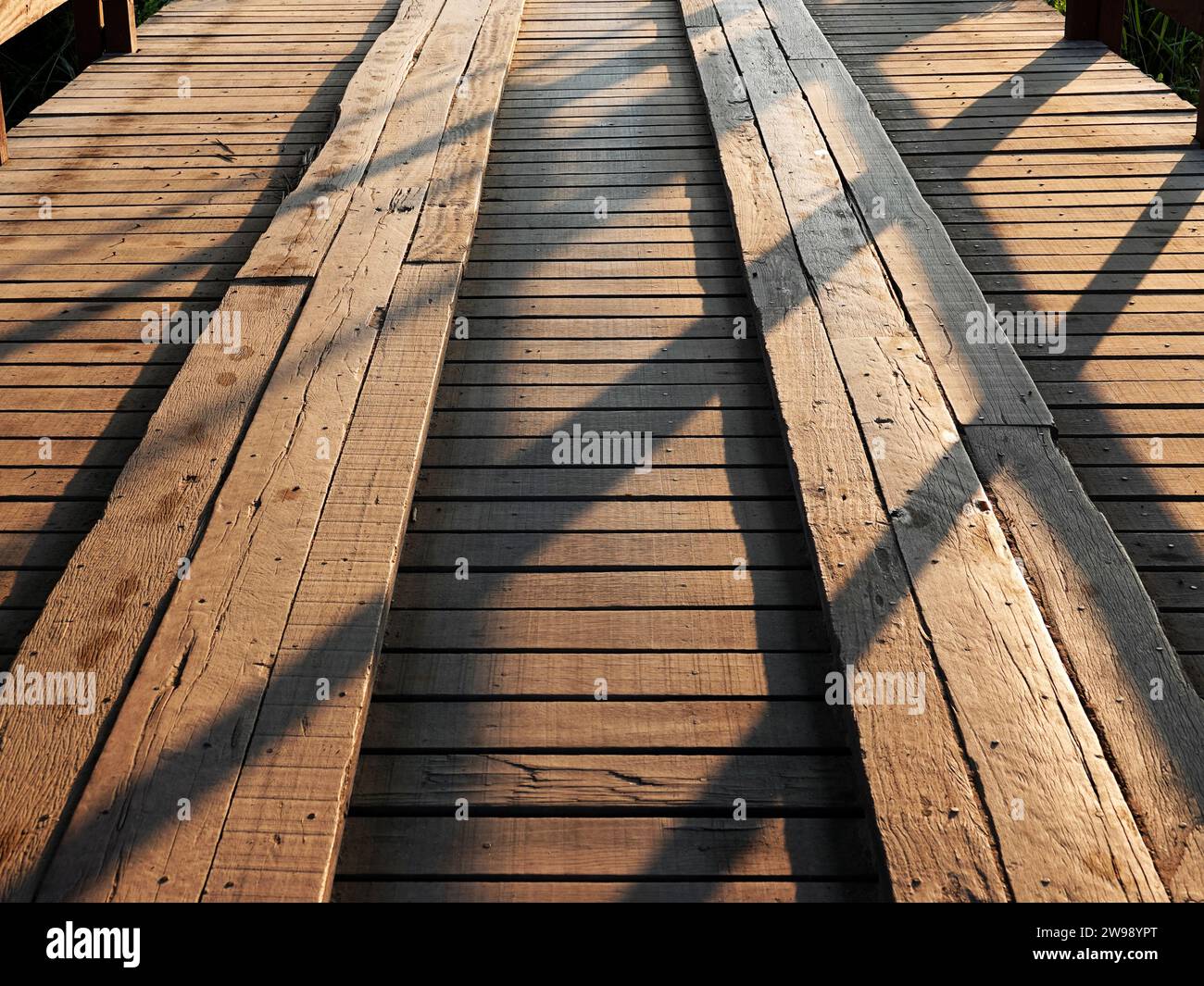 Trees casting shadows along hi-res stock photography and images - Alamy